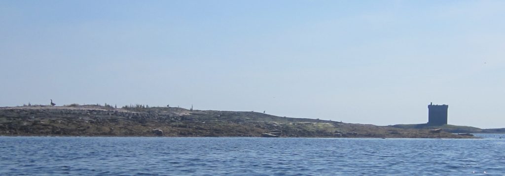 Wee Cumbrae (or Peace Island) 16th August – Helensburgh CC