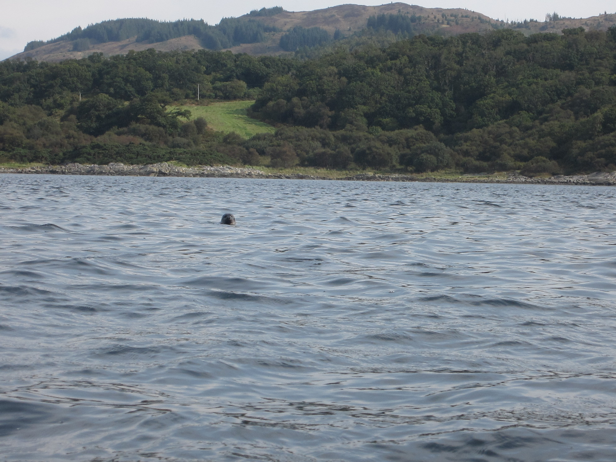 Lower Loch Fyne, 14th Sept 2016 – Helensburgh CC